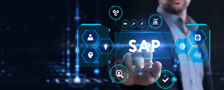 SAP Application Management Services | AMS Support for SAP